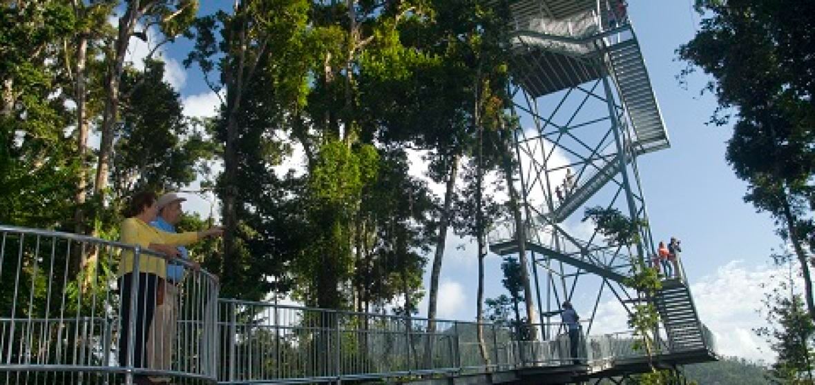 Innisfail 2023 Top Things to Do - Innisfail Travel Guides - Top ...