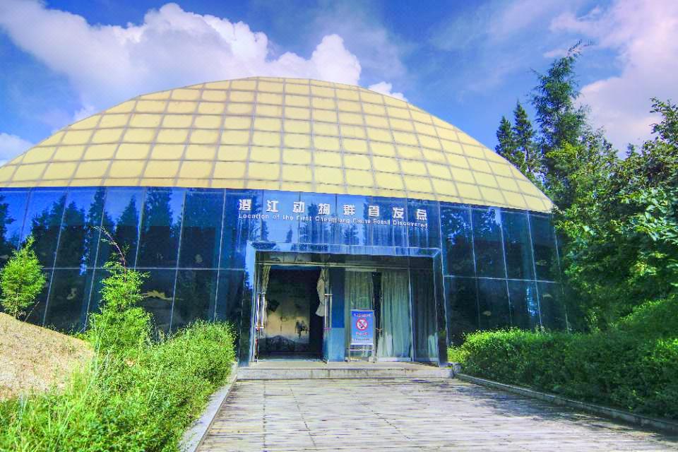 5 Days in Chengjiang: What to Do and See in Chengjiang - Trip.com