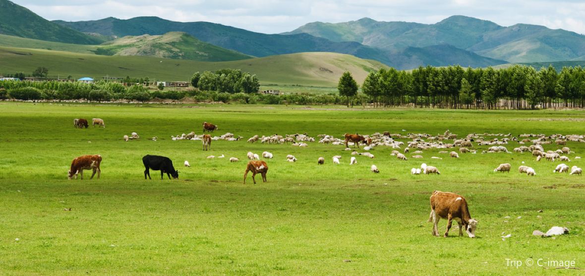 Inner Mongolia Travel Guide 2023 - Things to Do, What To Eat & Tips ...