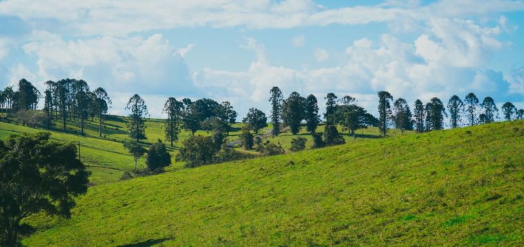 Dimbulah Travel Guide 2023 - Things to Do, What To Eat & Tips | Trip.com