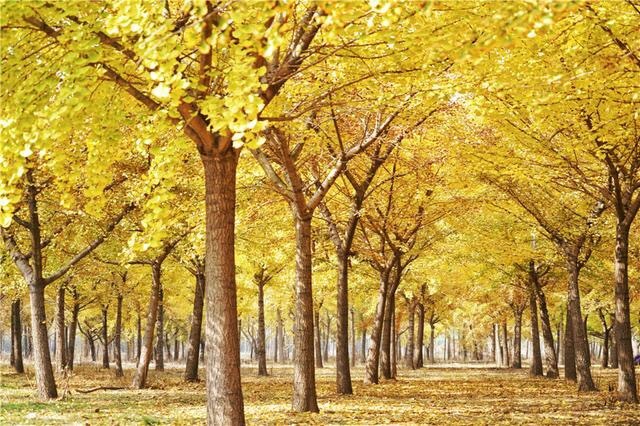 Laizhou 2022 Top Things to Do - Laizhou Travel Guides - Top Recommended ...