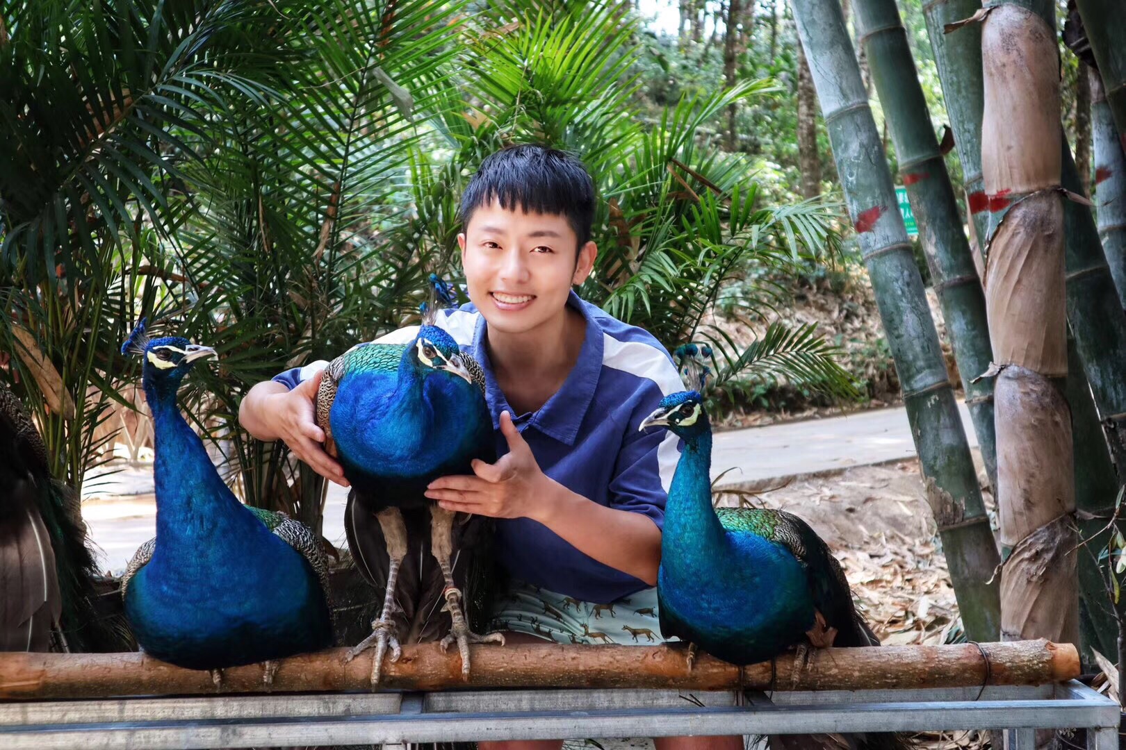 Mangshi 2022 Top Things to Do - Mangshi Travel Guides - Top Recommended ...