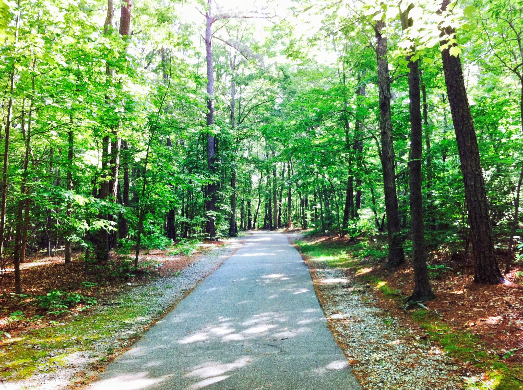 Best Time to Visit Raleigh:Itinerary, What to Do & Where to Go - Trip.com