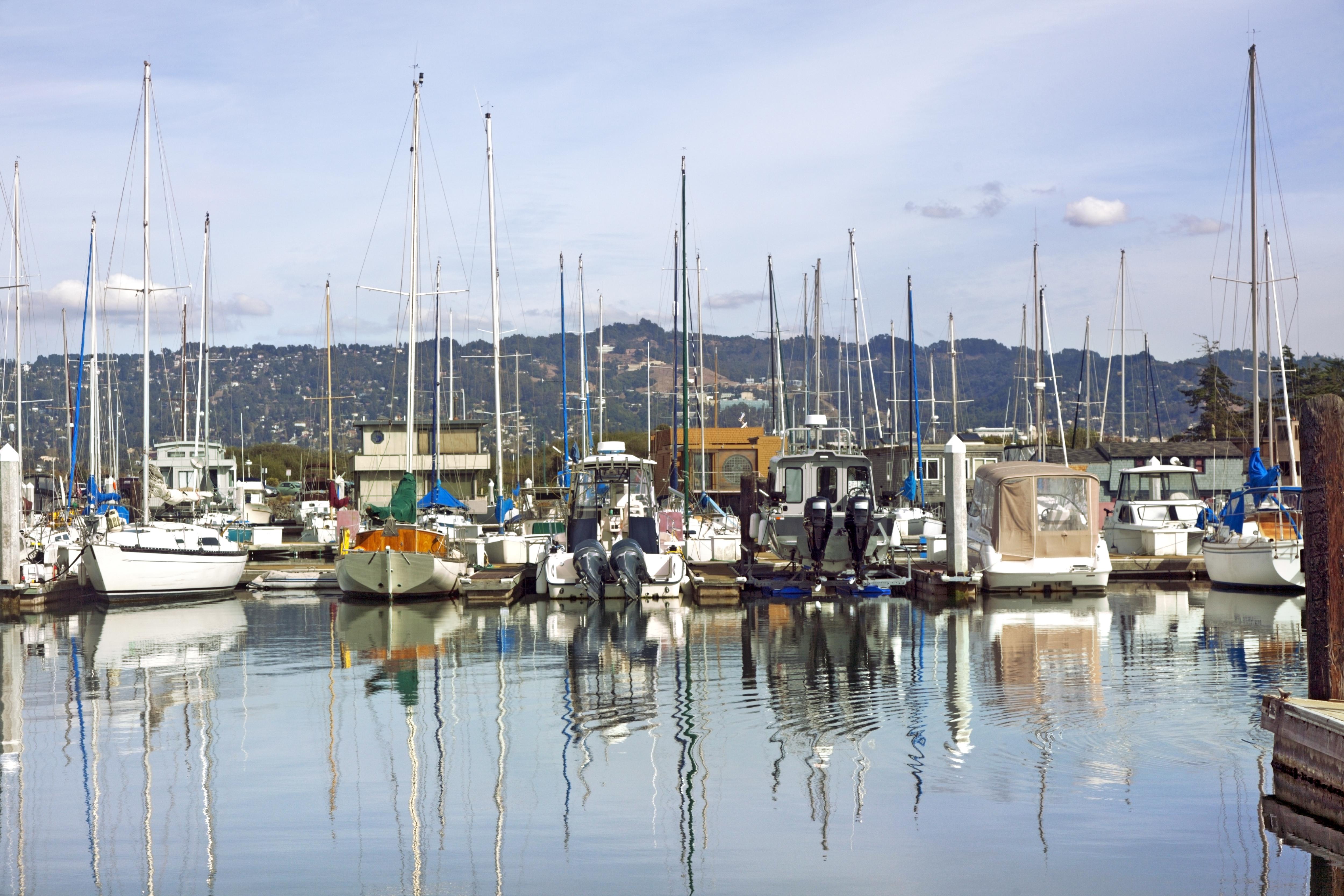 What to Do in Berkeley in 1 Day? Travel Guide and Tips - Trip.com