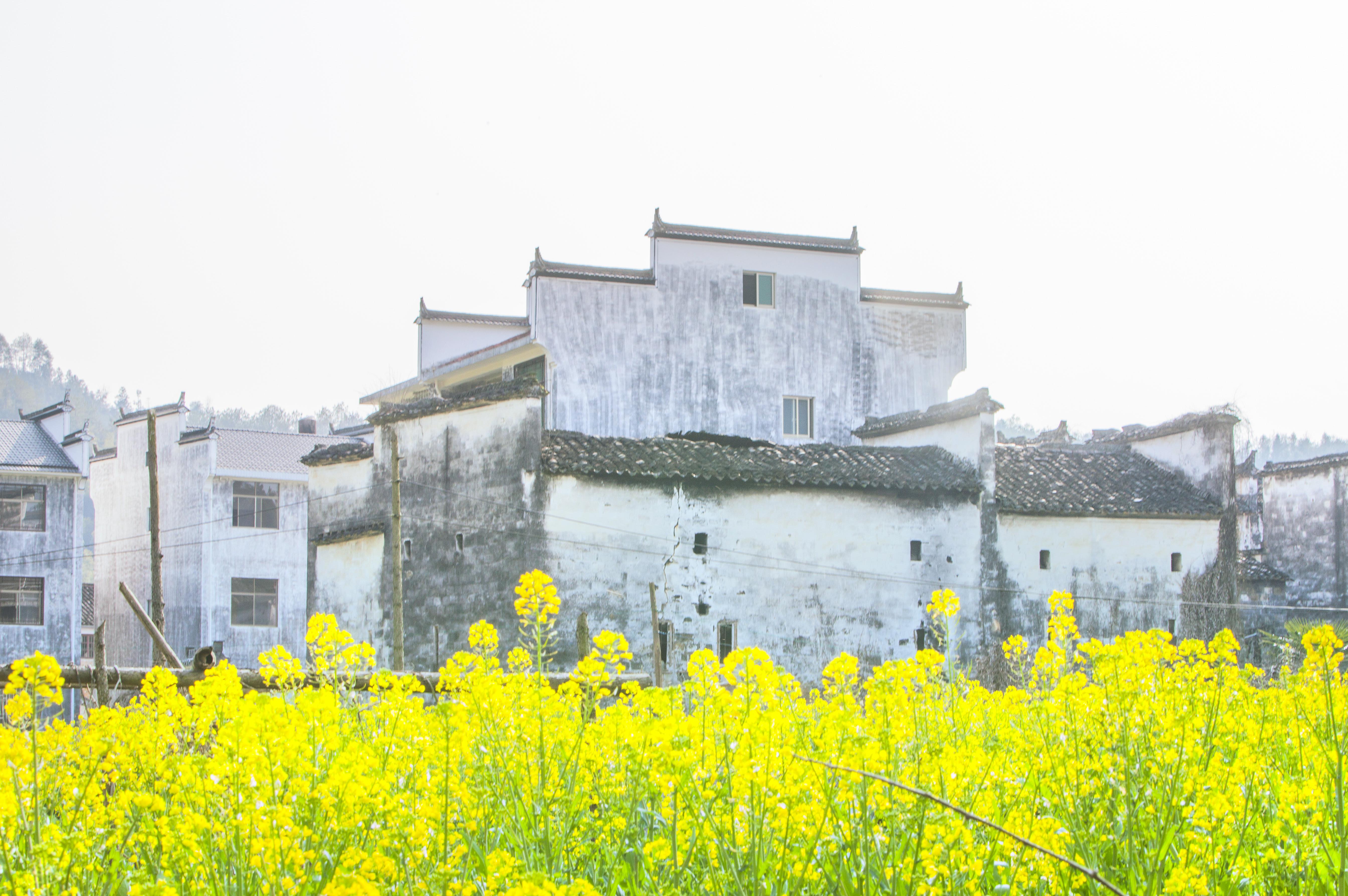 Top Travel Destinations in Wuyuan: Best 5 Days Wuyuan Itinerary - Trip.com