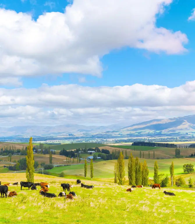 10 Best Things to do in Timaru, Canterbury - Timaru travel guides 2022 ...