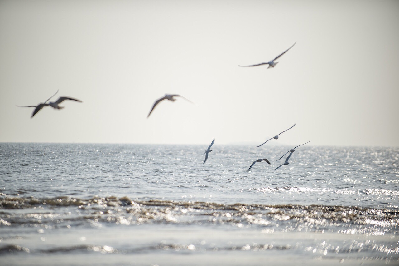 Jimo District 2022 Top Things to Do - Jimo District Travel Guides - Top ...