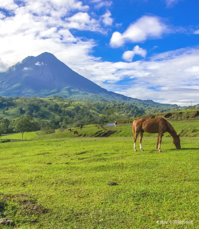 Heredia Travel Guide 2024 - Things to Do, What To Eat & Tips | Trip.com