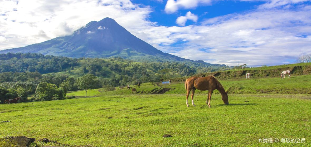 Heredia Travel Guide 2024 - Things to Do, What To Eat & Tips | Trip.com