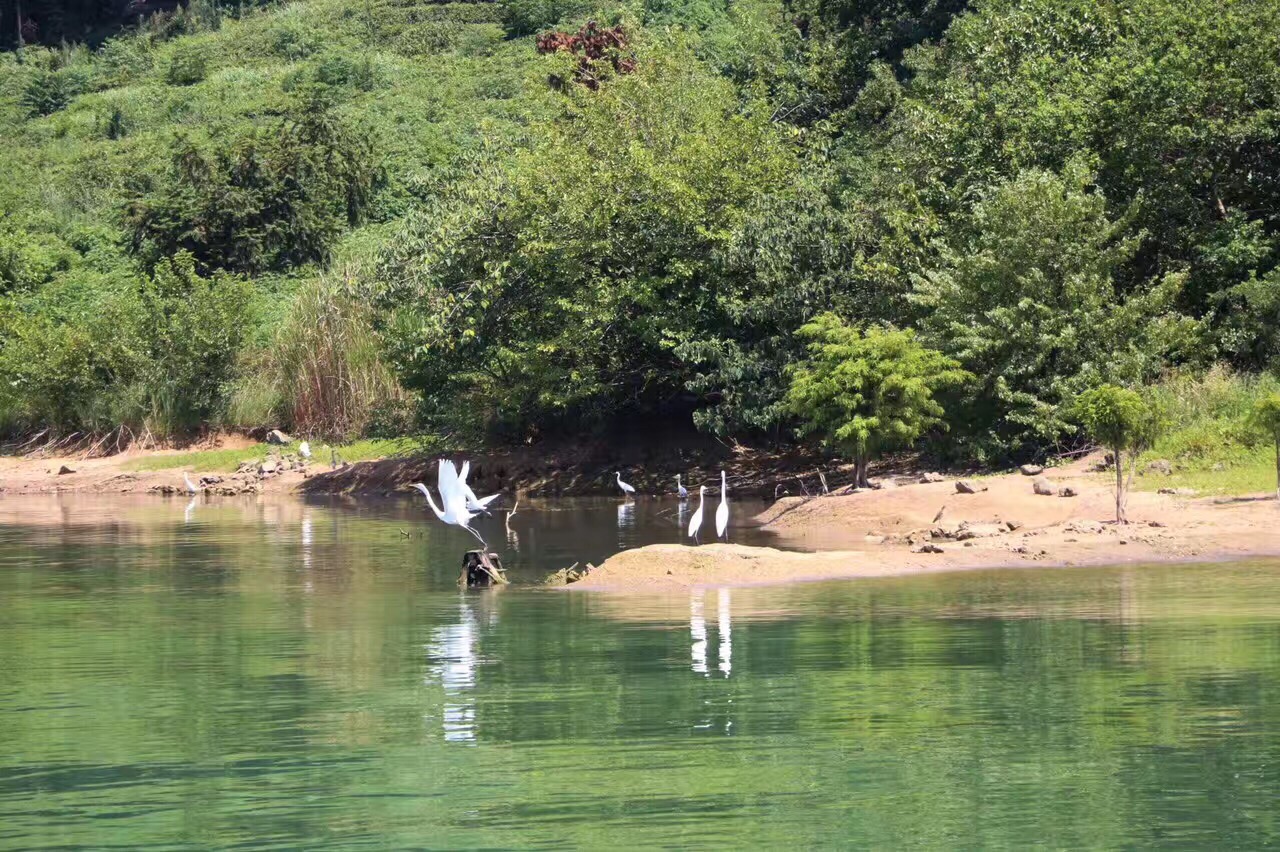 Laian 2022 Top Things to Do - Laian Travel Guides - Top Recommended ...