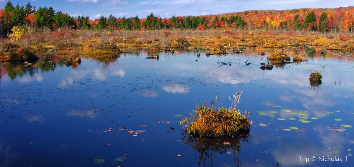 Coolbaugh Township Travel Guide 2023 - Things to Do, What To Eat & Tips ...