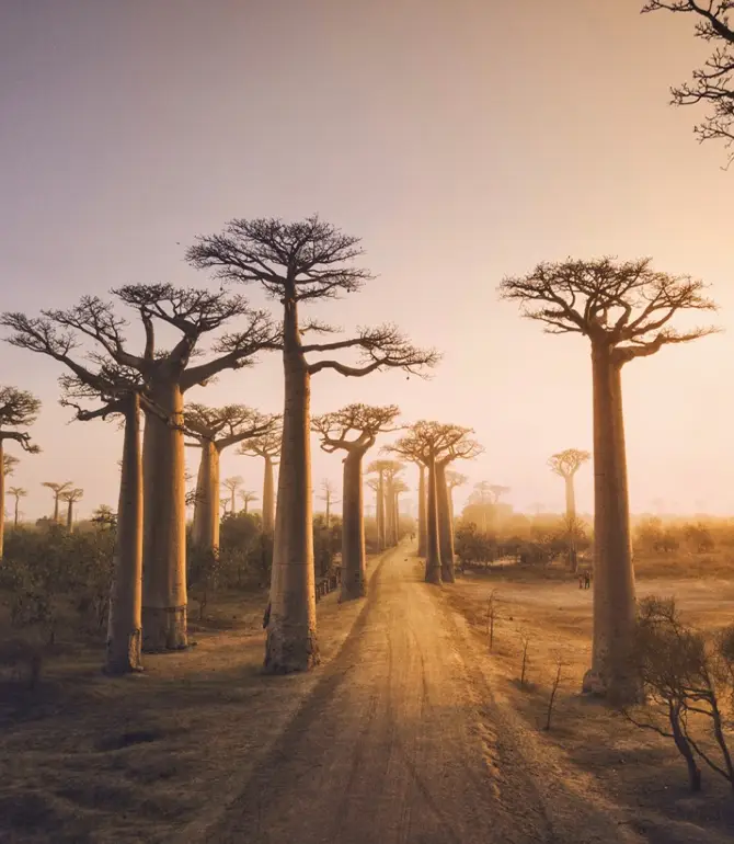 10 Best Things to do in Ihosy, Ihorombe - Ihosy travel guides 2021 ...