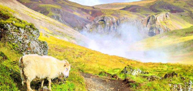 Hveragerei Travel Guide 2023 - Things to Do, What To Eat & Tips | Trip.com