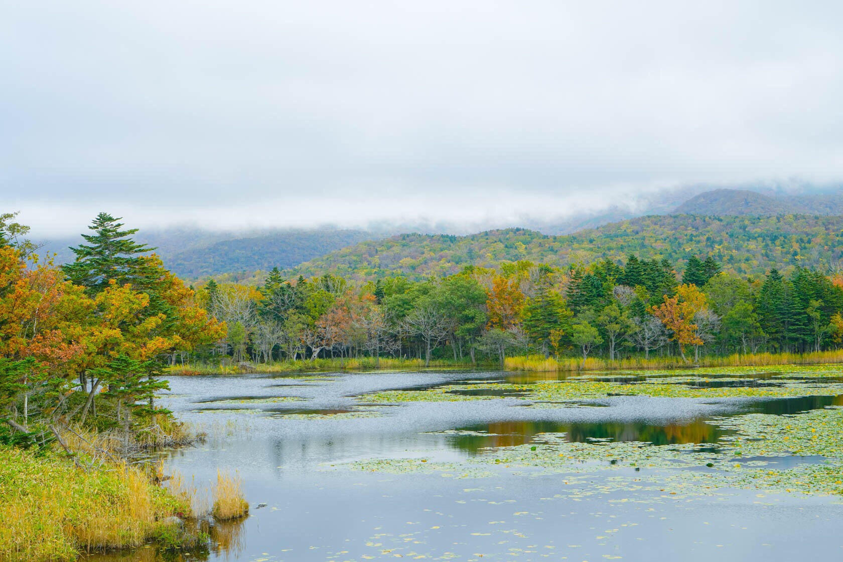 Shari 2022 Top Things to Do - Shari Travel Guides - Top Recommended ...