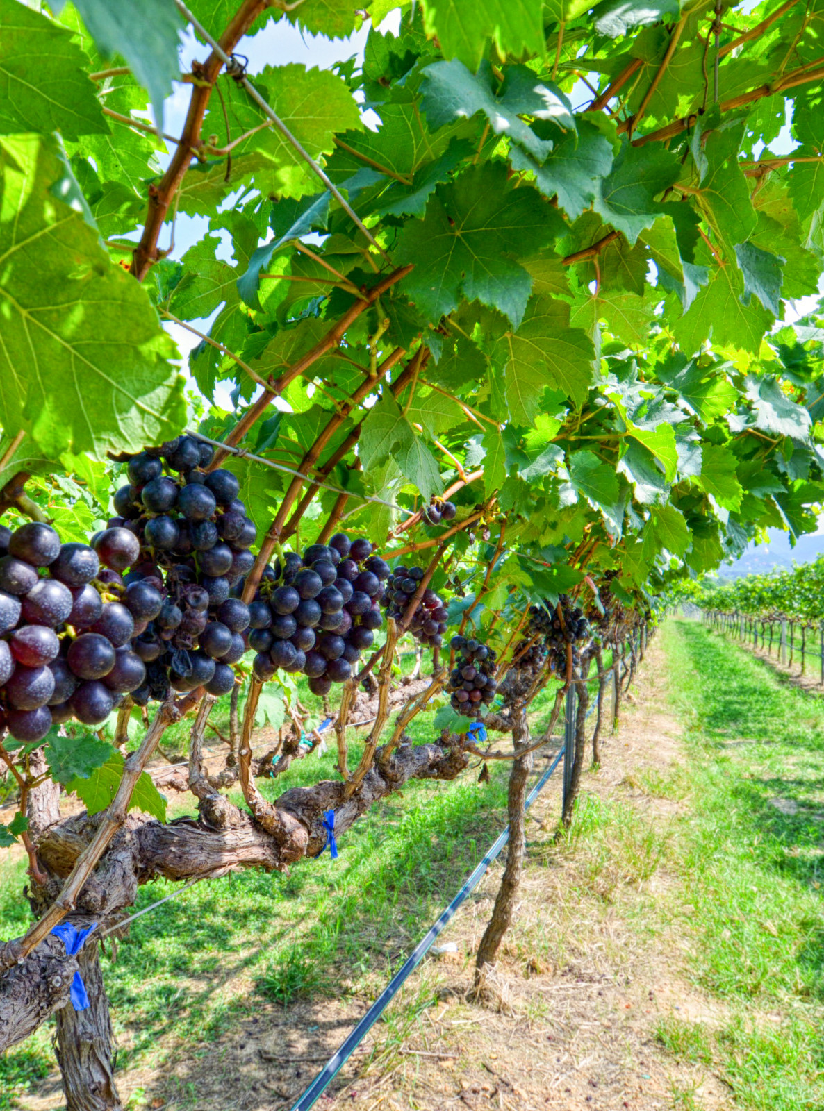 10 Days in Hua Hin Trip: Budgets, Hotels, Food & Attractions - Trip.com