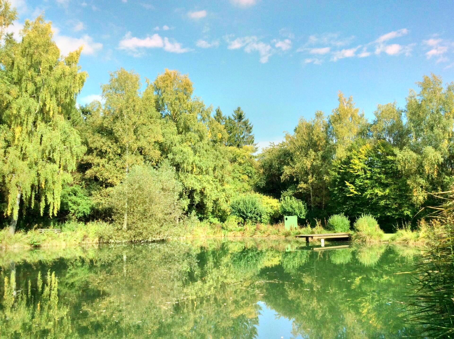 Travel Dortmund Itinerary:5 days Must-do list in Dortmund - Trip.com