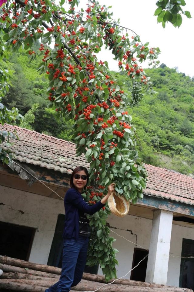 7 days free travel to Daocheng, Chengdu travel notes and guides – Trip ...