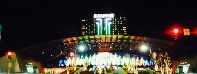 關於Little Italy~ Seneca Falls的平機票、機票優惠及廉價航班預訂優惠 - Trip.com