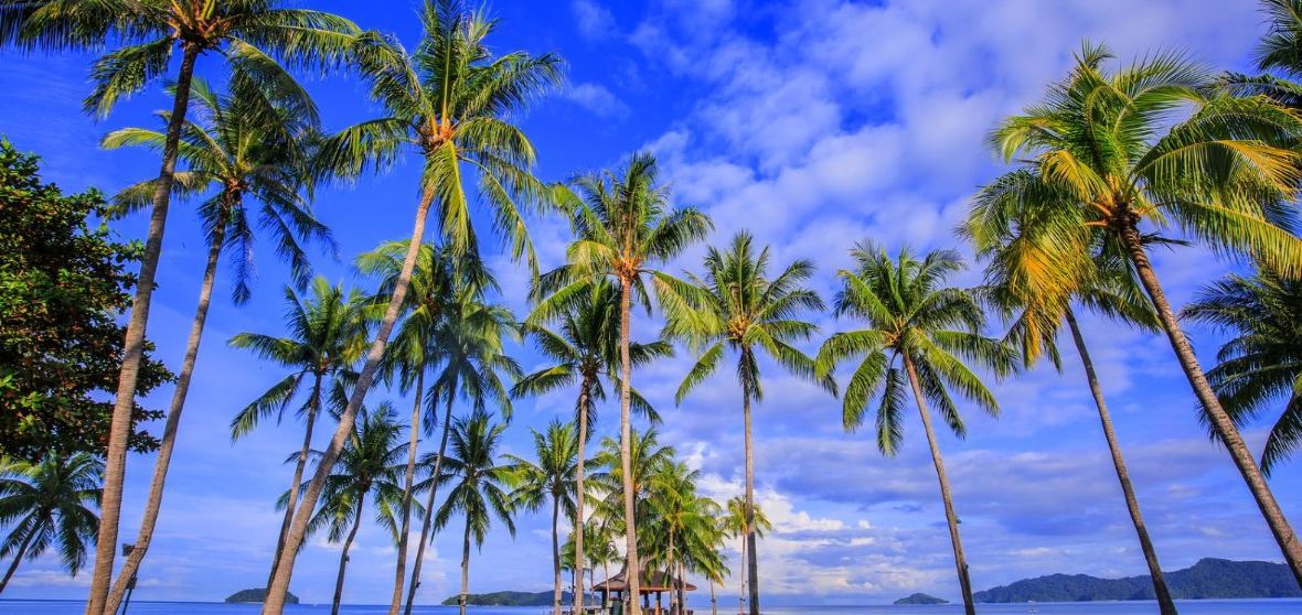 แนะนำการเดินทาง Sandakan Division 2023 - สิ่งที่ควรทำ, อาหารที่ควร ...