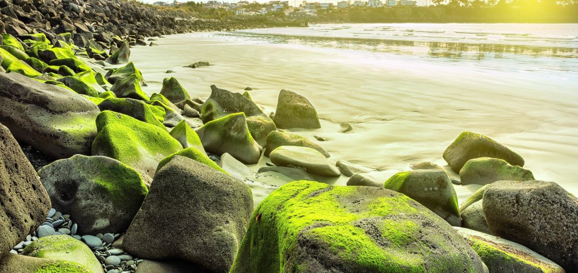 10 Best Things to do in Timaru, Timaru District - Timaru travel guides ...