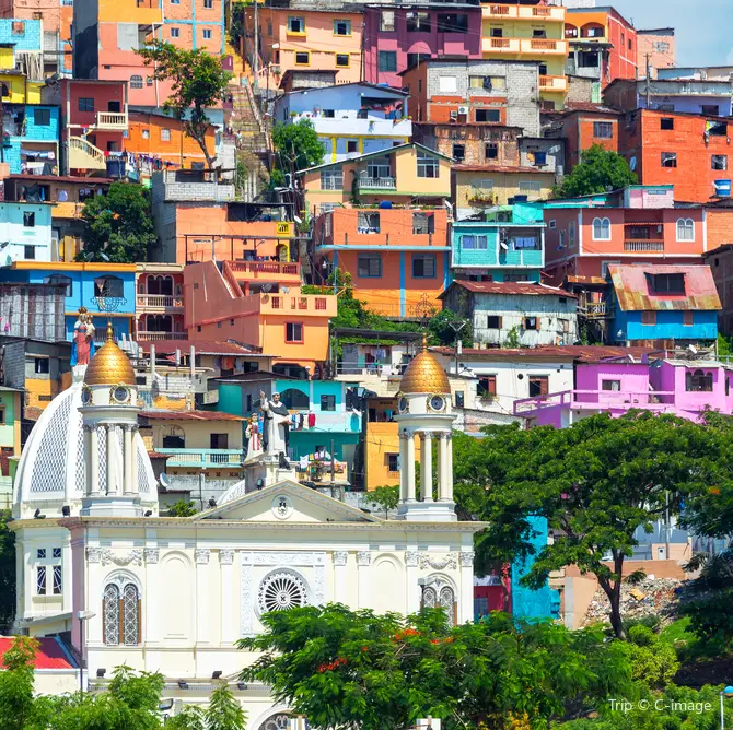 Panacocha Travel Guide 2023 - Things to Do, What To Eat & Tips | Trip.com