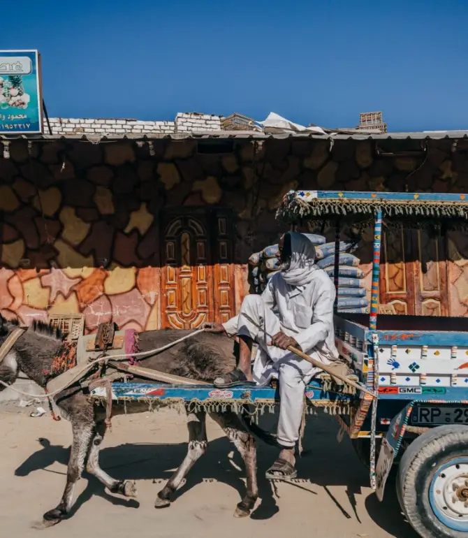 10 Best Things to do in Siwa Oasis, Qesm Siwah - Siwa Oasis travel ...