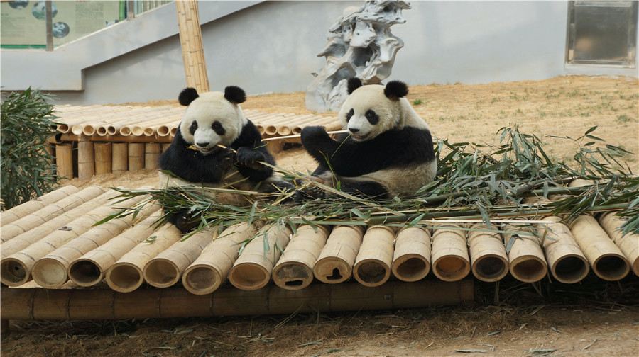 Best Time to Visit Dalian:Itinerary, What to Do & Where to Go - Trip.com