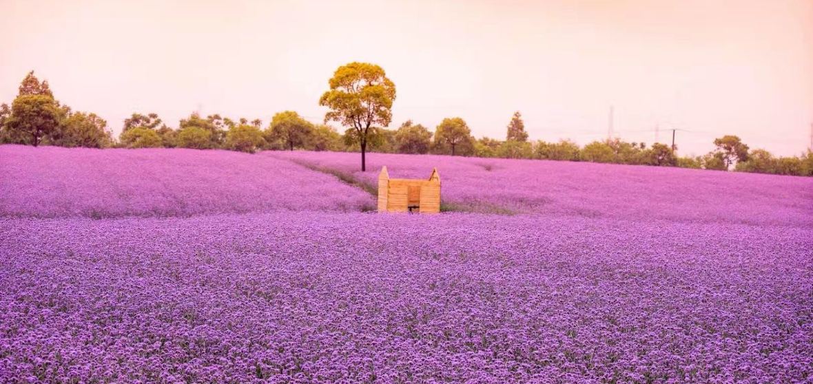 10 Best Things to do in Qingpu District, Shanghai - Qingpu District ...