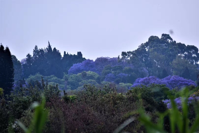 Harare 2022 Top Things to Do - Harare Travel Guides - Top Recommended ...