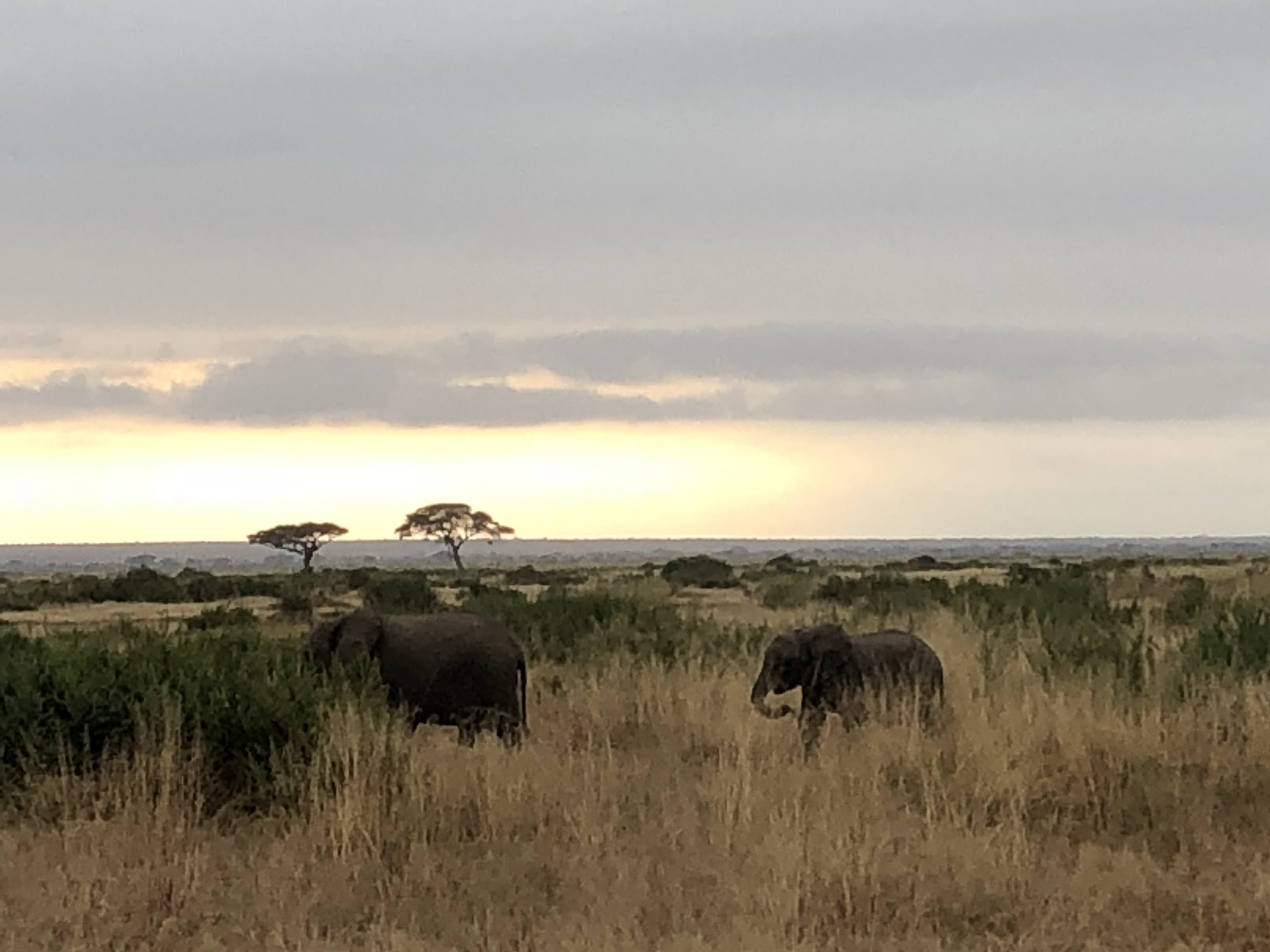 Kajiado 2022 Top Things to Do - Kajiado Travel Guides - Top Recommended ...