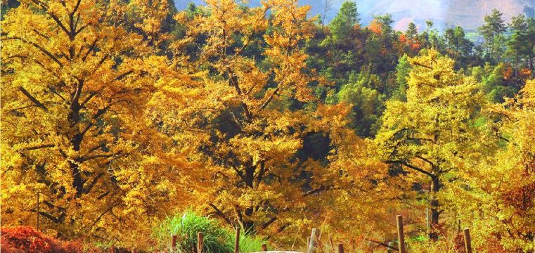 Yongzhou 2022 Top Things to Do - Yongzhou Travel Guides - Top ...