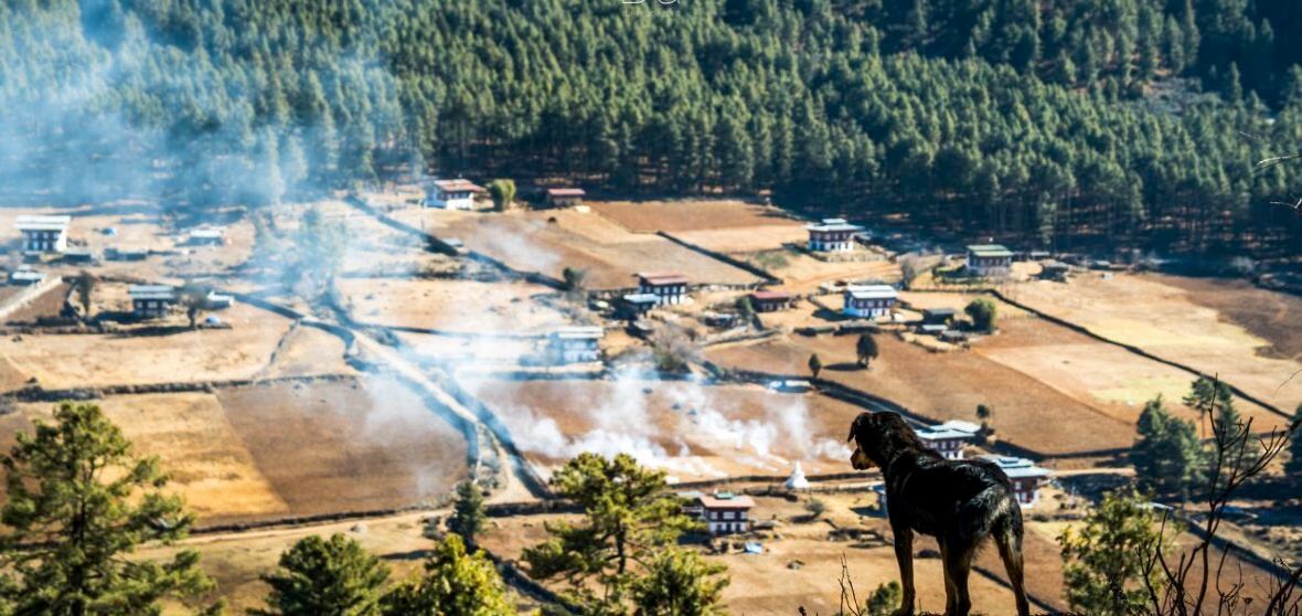 Wangdi Phodrang 2023 Top Things to Do - Wangdi Phodrang Travel Guides ...