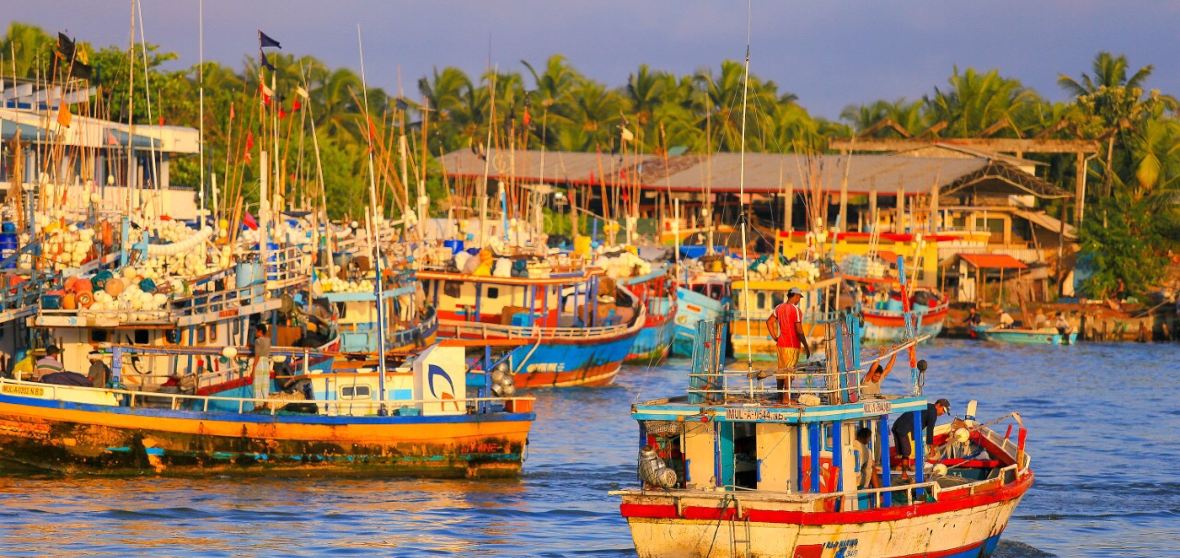 Wattala Travel Guide 2023 - Things to Do, What To Eat & Tips | Trip.com