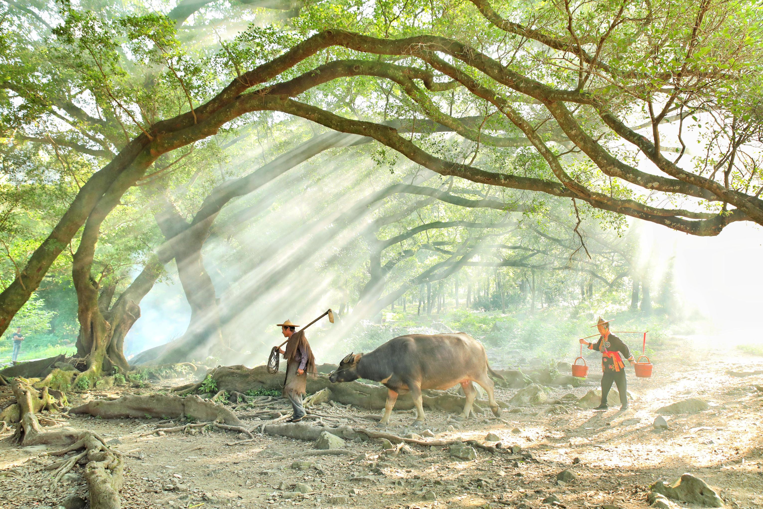 What to Do in Xiapu in 5 Days? Travel Guide and Tips - Trip.com