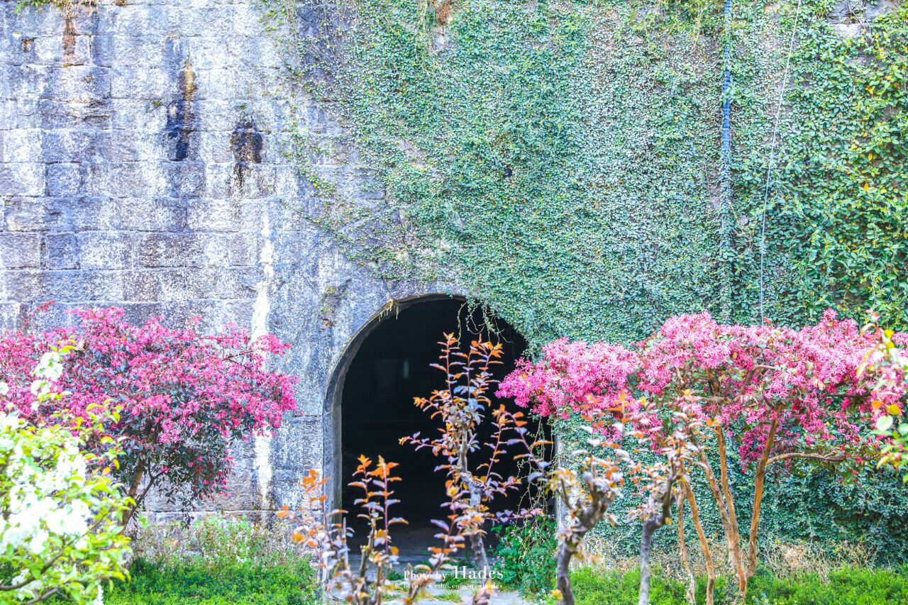 Linjiang 2022 Top Things to Do - Linjiang Travel Guides - Top ...