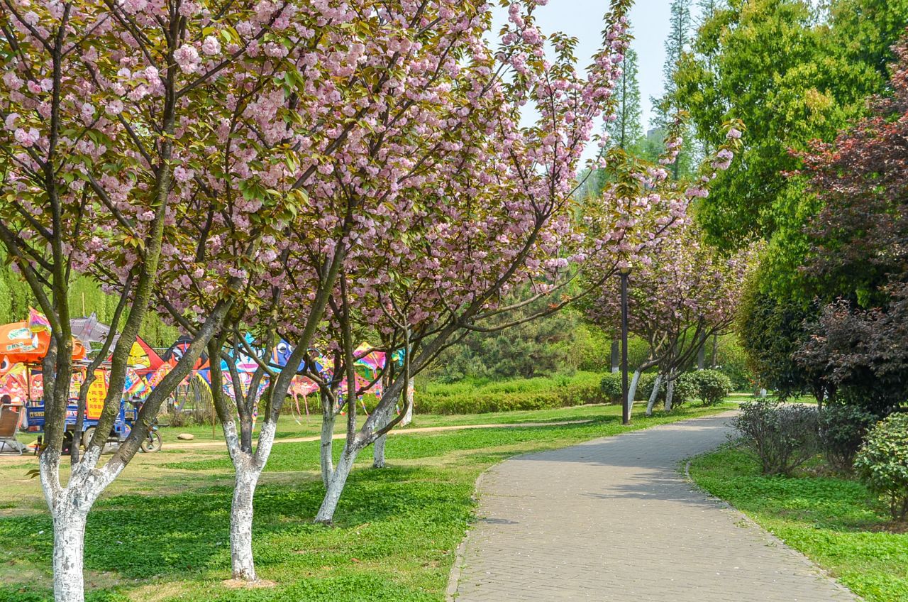 Zhenjiang Itinerary for 3 Days : Ultimate Zhenjiang Travel Guide - Trip.com