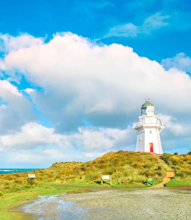 10 Best Things to do in Slope Point, Southland District - Slope Point ...