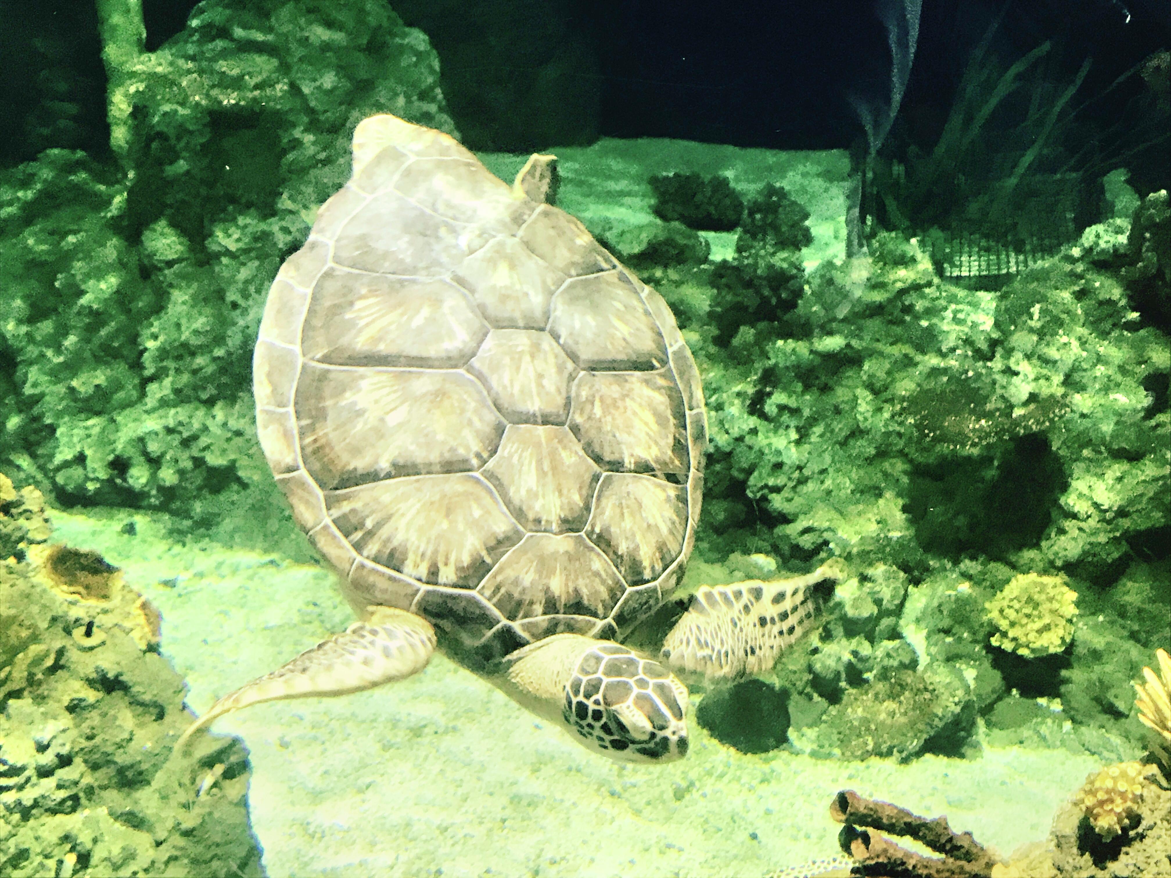 5 Days in Pittsburgh Trip: Budgets, Hotels, Food & Attractions - Trip.com