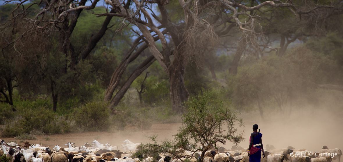 Bungoma Travel Guide 2024 - Things to Do, What To Eat & Tips | Trip.com