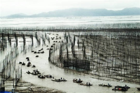 What to Do in Xiapu in 5 Days? Travel Guide and Tips - Trip.com