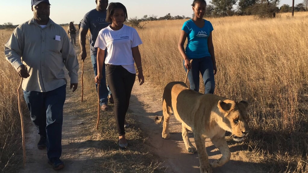 Gweru 2022 Top Things to Do - Gweru Travel Guides - Top Recommended ...