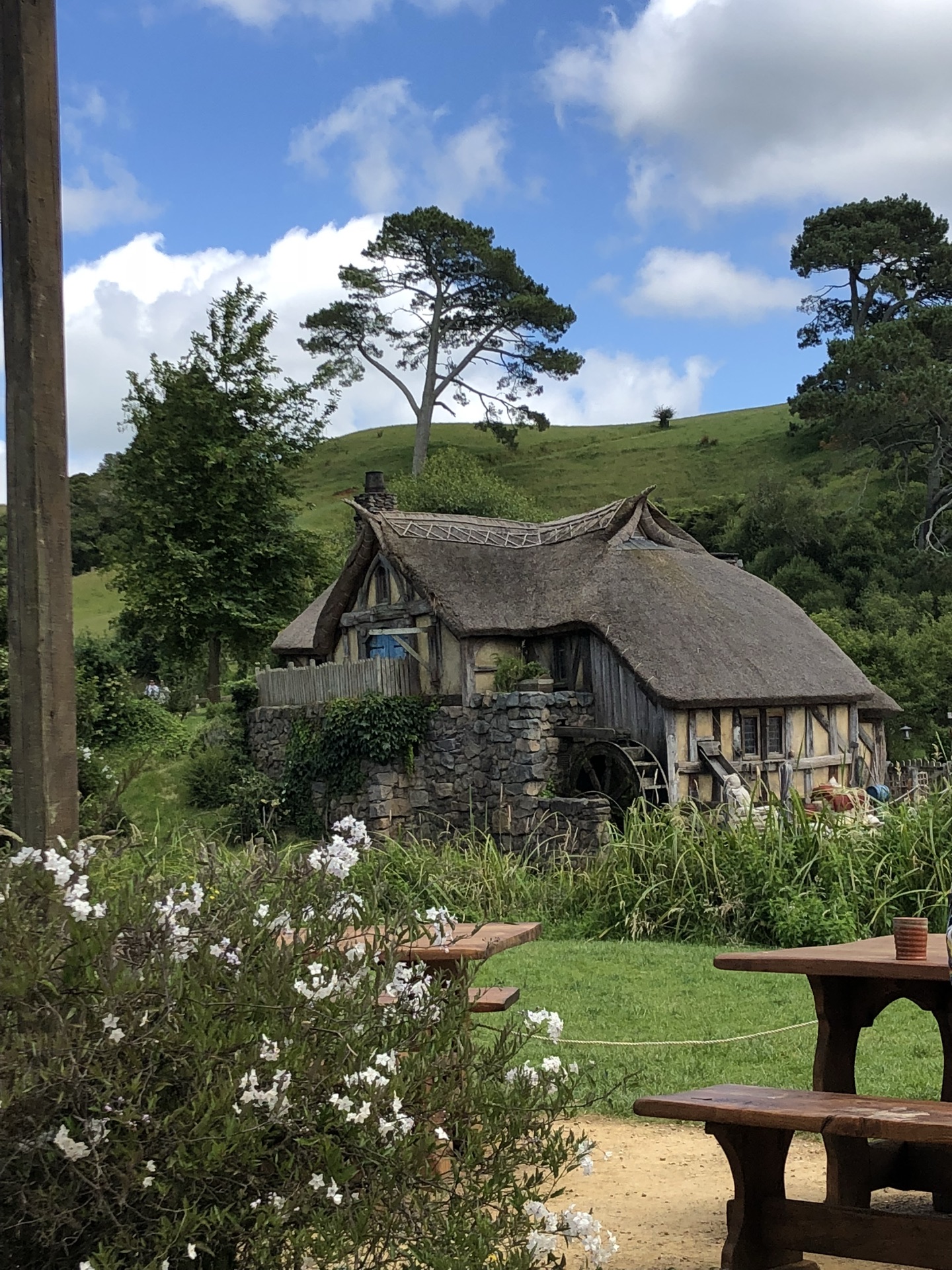 Matamata 2022 Top Things to Do - Matamata Travel Guides - Top ...