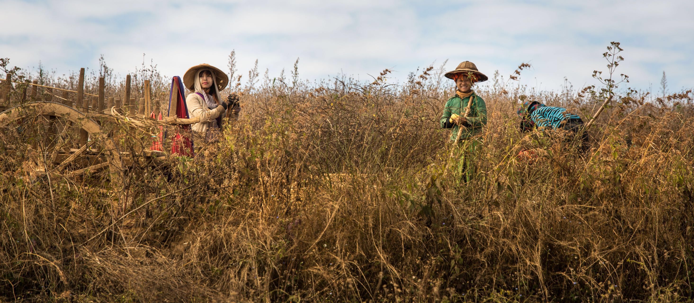 Kalaw 2022 Top Things to Do - Kalaw Travel Guides - Top Recommended ...