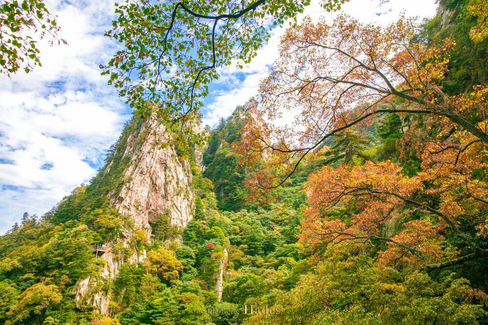 Lushan 2022 Top Things to Do - Lushan Travel Guides - Top Recommended ...