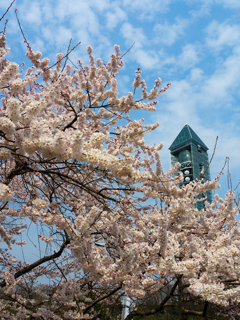 Travel 6 Days in Nagoya: Best Vacation Spots in Nagoya - Trip.com