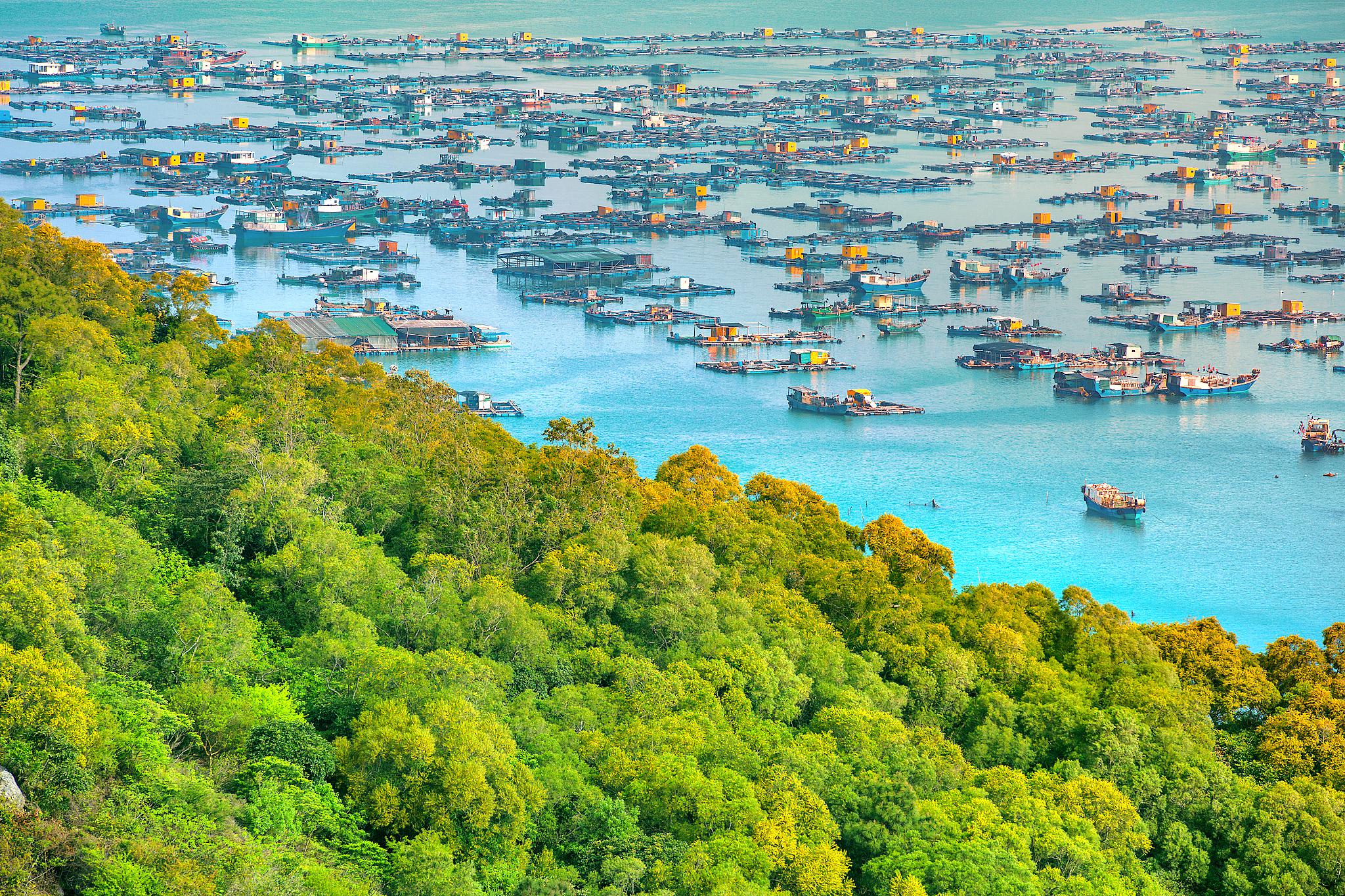 Travel Yangjiang Itinerary:10 day Must-do list in Yangjiang - Trip.com