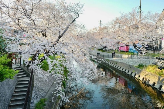 Tajimi 2022 Top Things to Do - Tajimi Travel Guides - Top Recommended ...