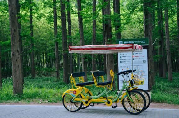 Dongtai 2022 Top Things to Do - Dongtai Travel Guides - Top Recommended ...
