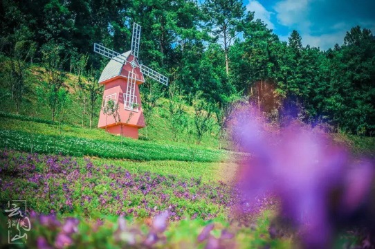 Ruyuan 2022 Top Things to Do - Ruyuan Travel Guides - Top Recommended ...