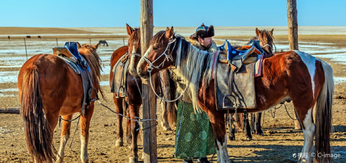 Hailar Travel Guide 2024 - Things to Do, What To Eat & Tips | Trip.com